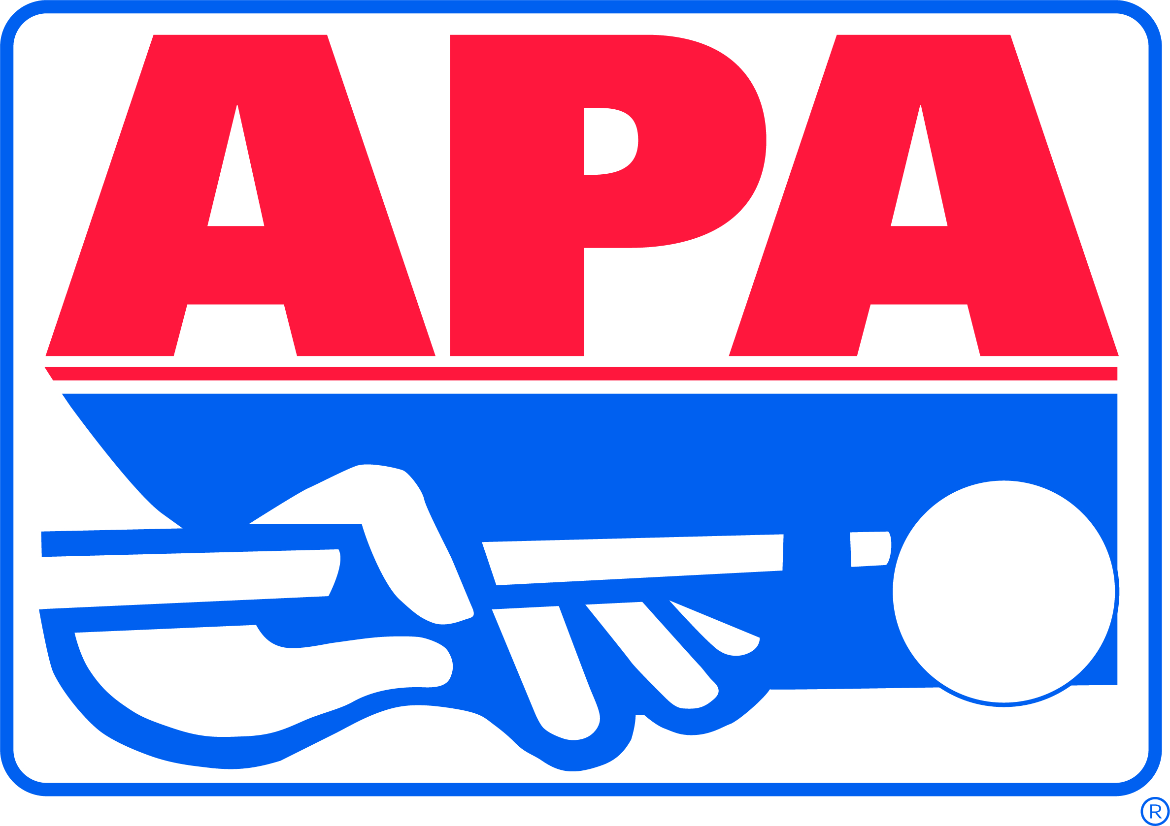 American Poolplayers Association